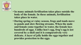 REPRODUCTION IN ANIMALS.pptx............. | PPTX