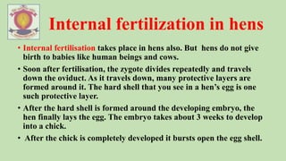 REPRODUCTION IN ANIMALS.pptx............. | PPTX