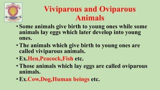 REPRODUCTION IN ANIMALS.pptx............. | PPTX