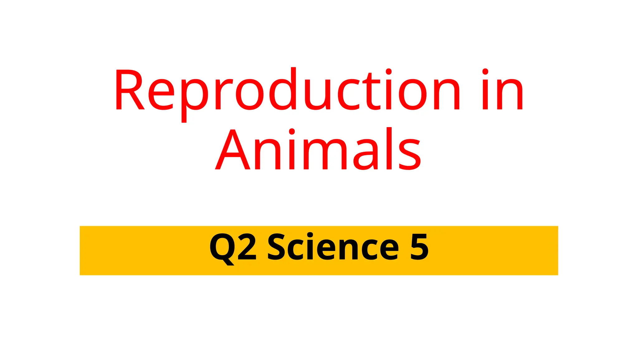 This powerpoint is about Reproduction in Animals | PPT