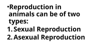 This powerpoint is about Reproduction in Animals | PPTX