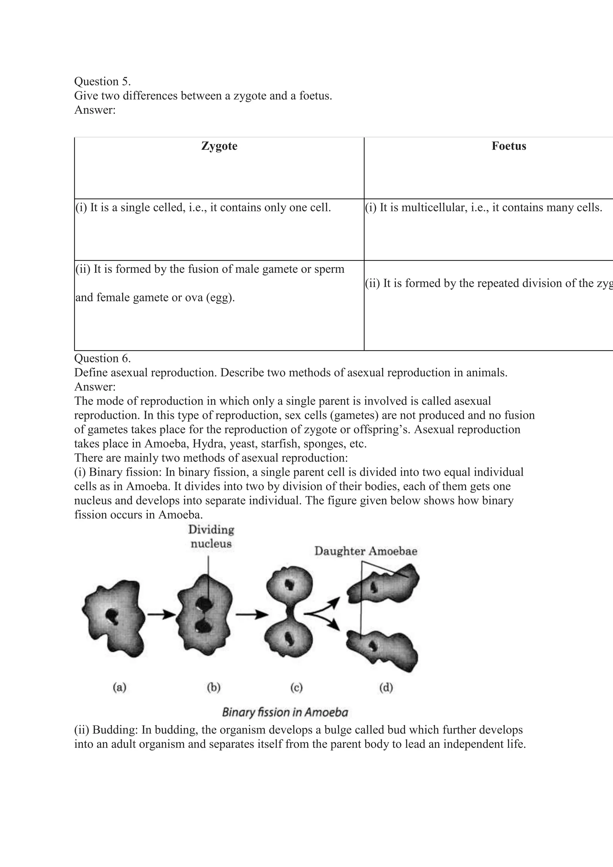 REPRODUCTION IN ANIMALS- class 8.docx