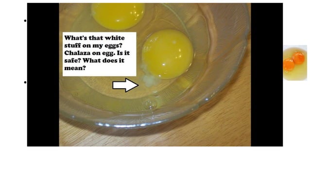 Reproduction in animals and life cycle of animals | PPTX