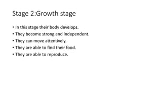 Reproduction in animals and life cycle of animals | PPTX