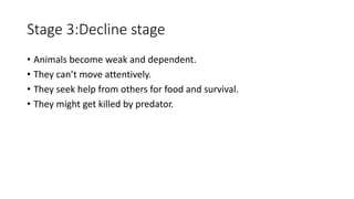 Reproduction in animals and life cycle of animals | PPTX