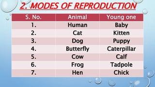 Reproduction in animals by gaurav ghankhede | PPT
