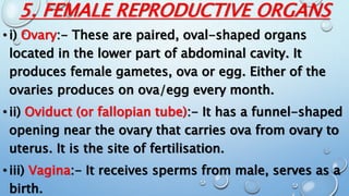 Reproduction in animals by gaurav ghankhede | PPTX