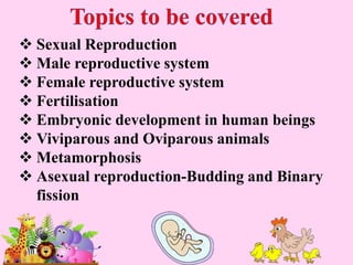 Reproduction in Animals Class 8 basic concepts | PPTX