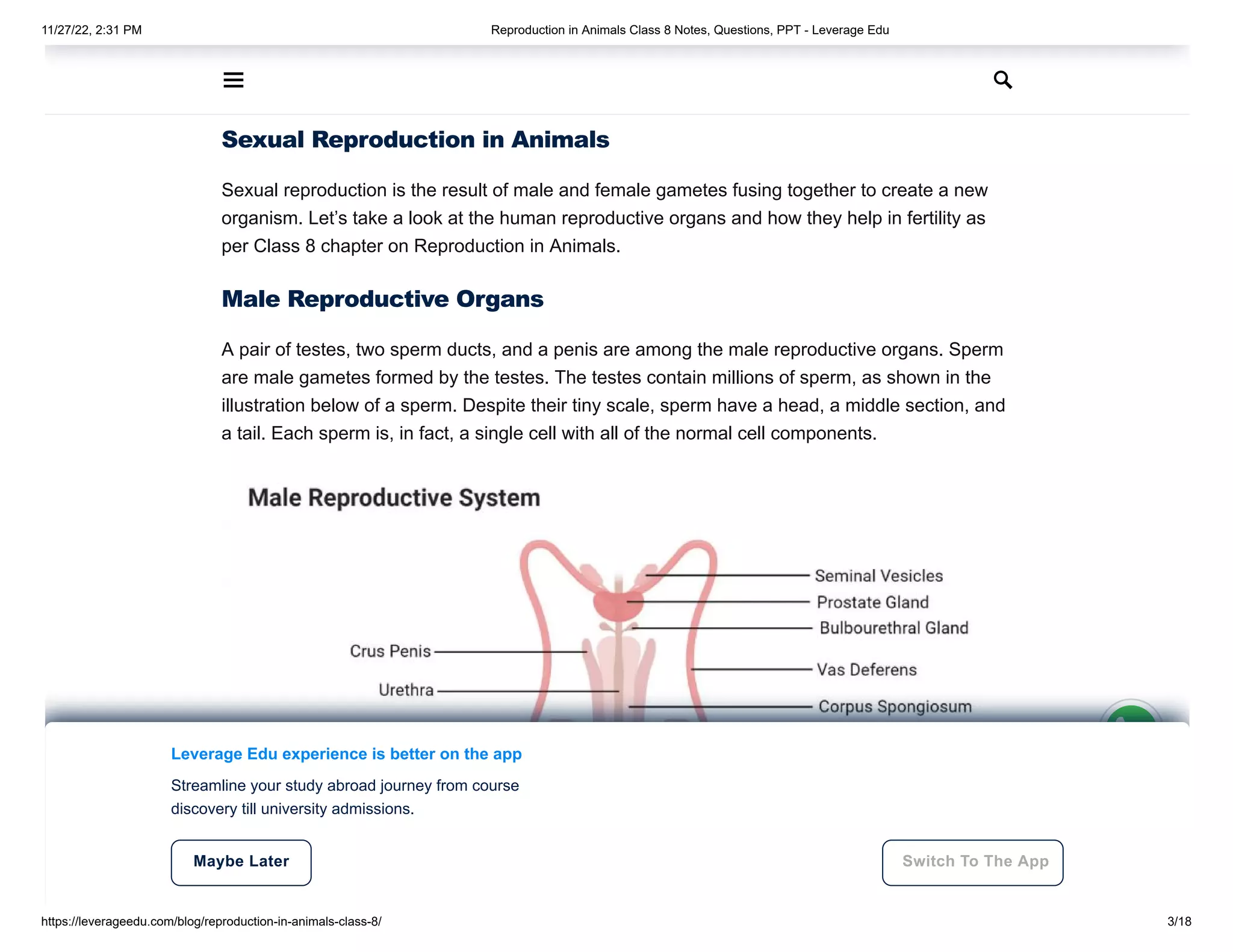 Reproduction in Animals Class 8 Notes, Questions, PPT - Leverage Edu.pdf