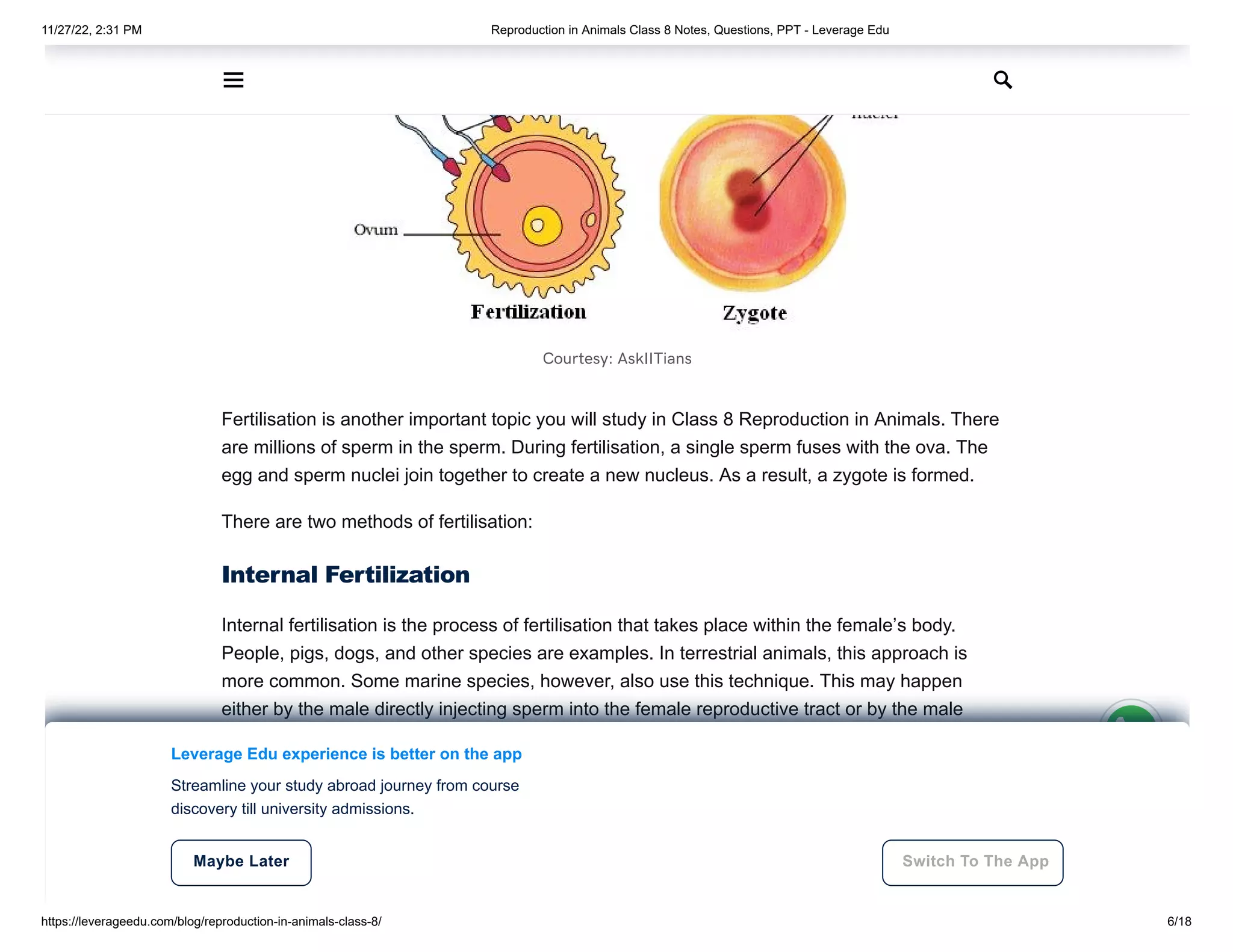 Reproduction in Animals Class 8 Notes, Questions, PPT - Leverage Edu.pdf