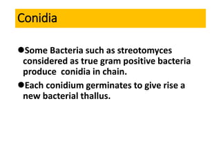 Reproduction in bacteria | PPTX