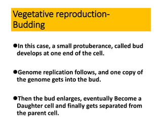Reproduction in bacteria | PPTX