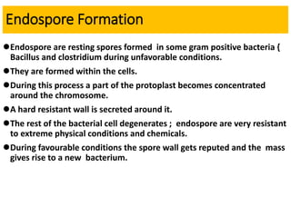 Reproduction in bacteria | PPTX