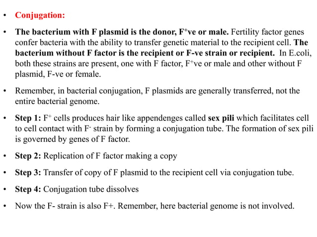 Reproduction In Bacteria Ppt Infertility Reproductive Health