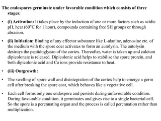 Reproduction in bacteria | PPT