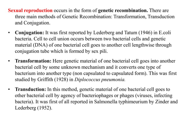 Reproduction In Bacteria Ppt Infertility Reproductive Health