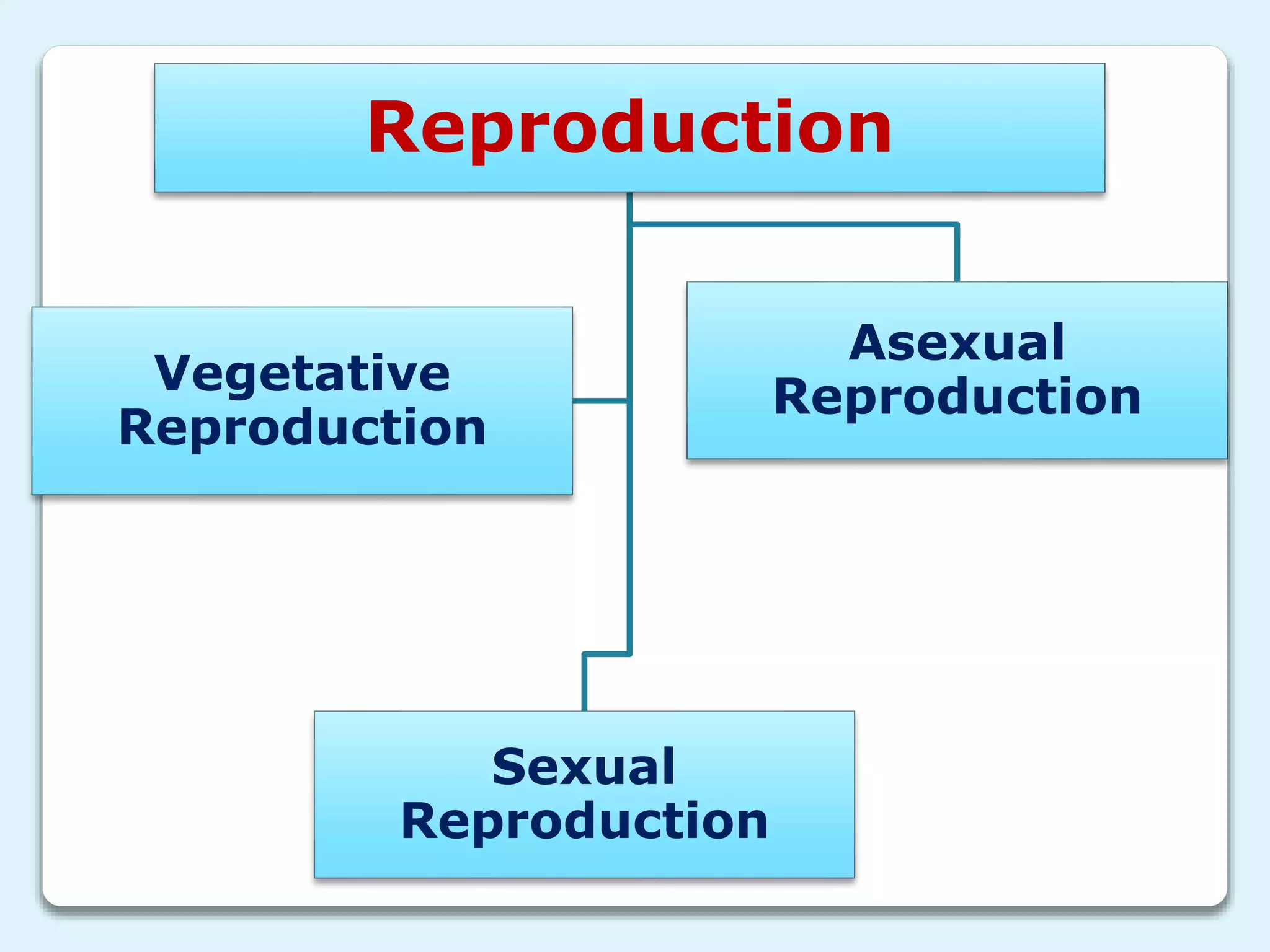 Reproduction in bacteria | PPTX