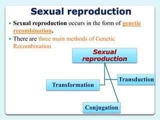 Reproduction in bacteria | PPTX