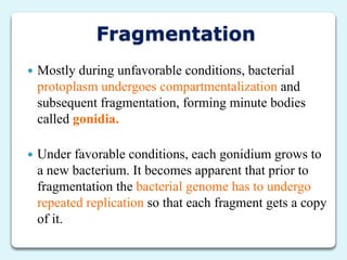 Reproduction in bacteria | PPTX