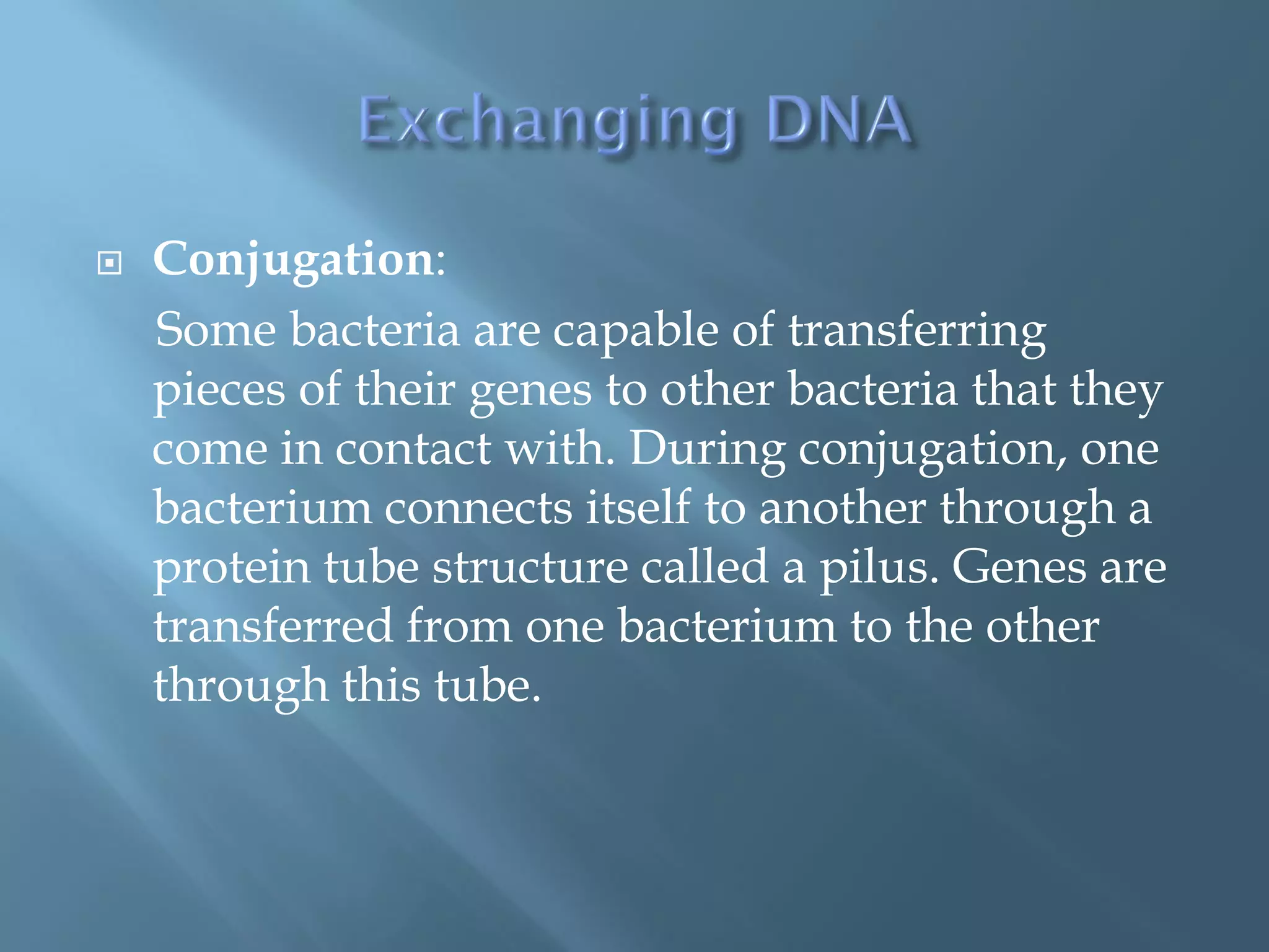 Reproduction in bacteria | PDF