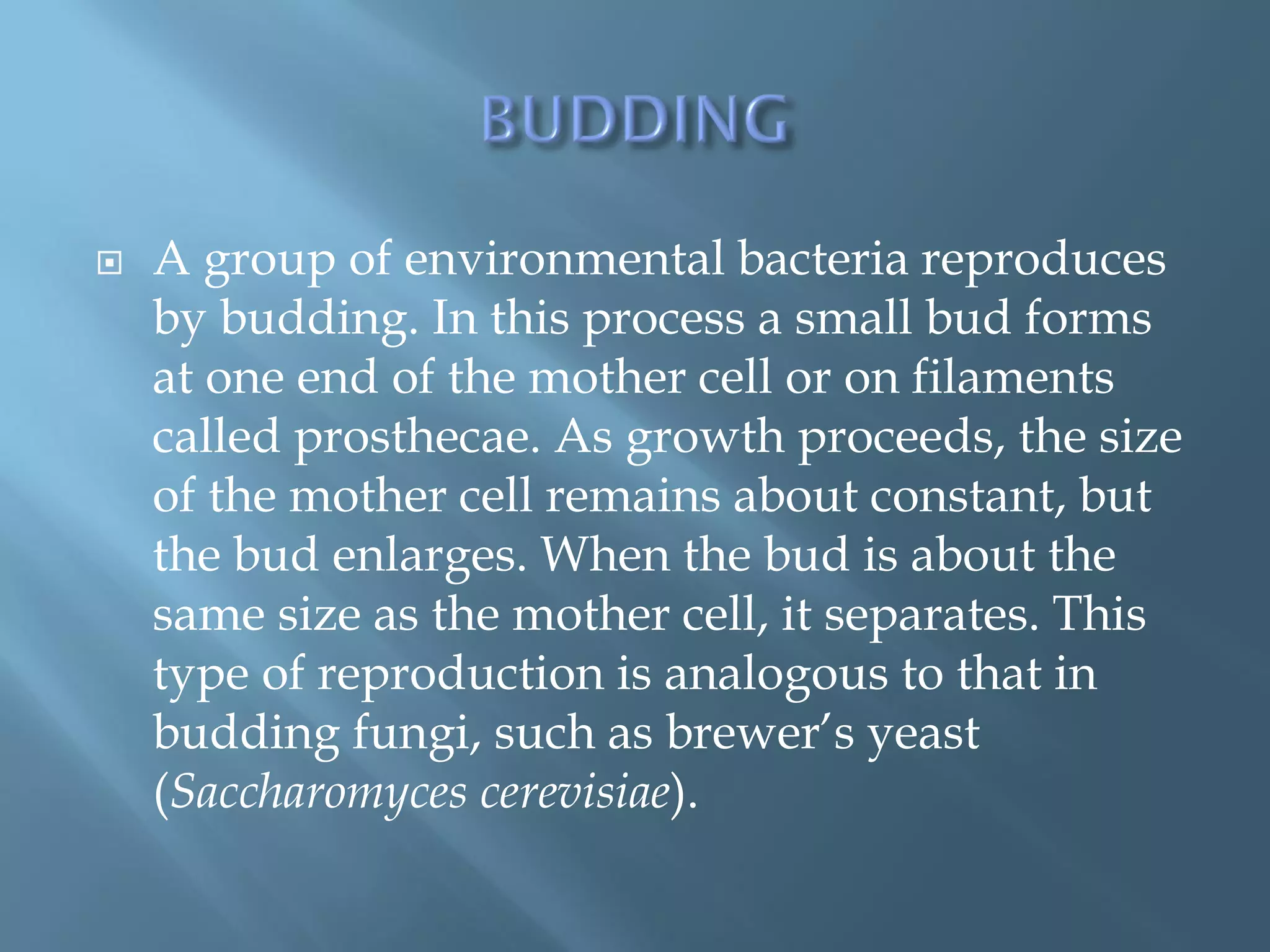 Reproduction in bacteria | PDF