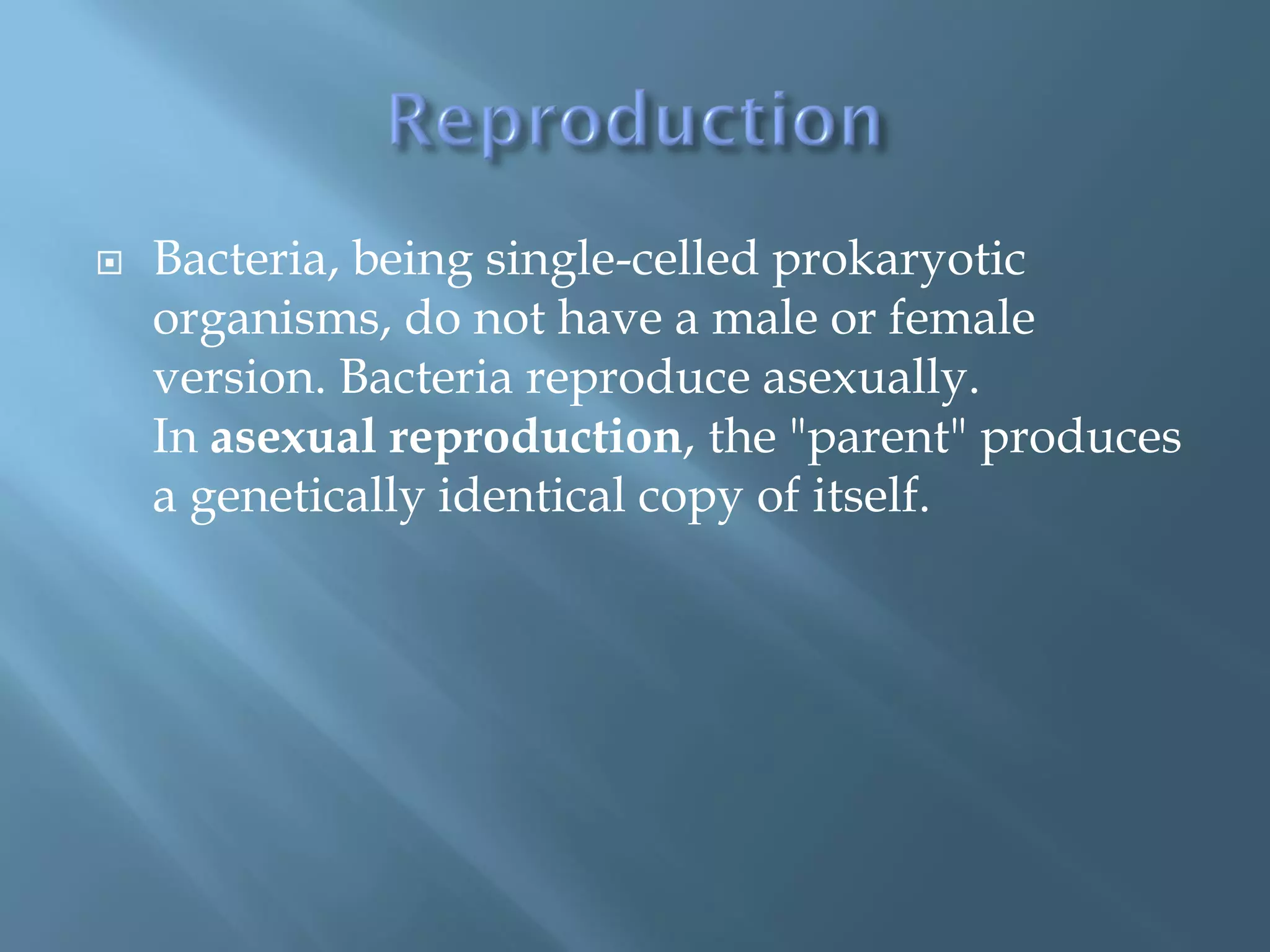 Reproduction in bacteria | PDF