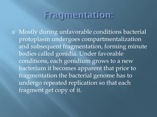Reproduction in bacteria | PDF
