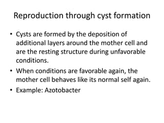 Reproduction in bacteria | PPTX