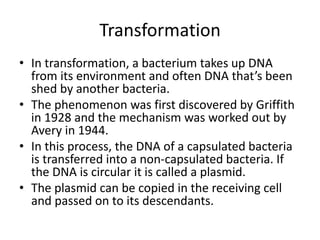 Reproduction in bacteria | PPT