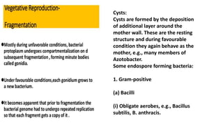 Reproduction in bacteria | PPTX