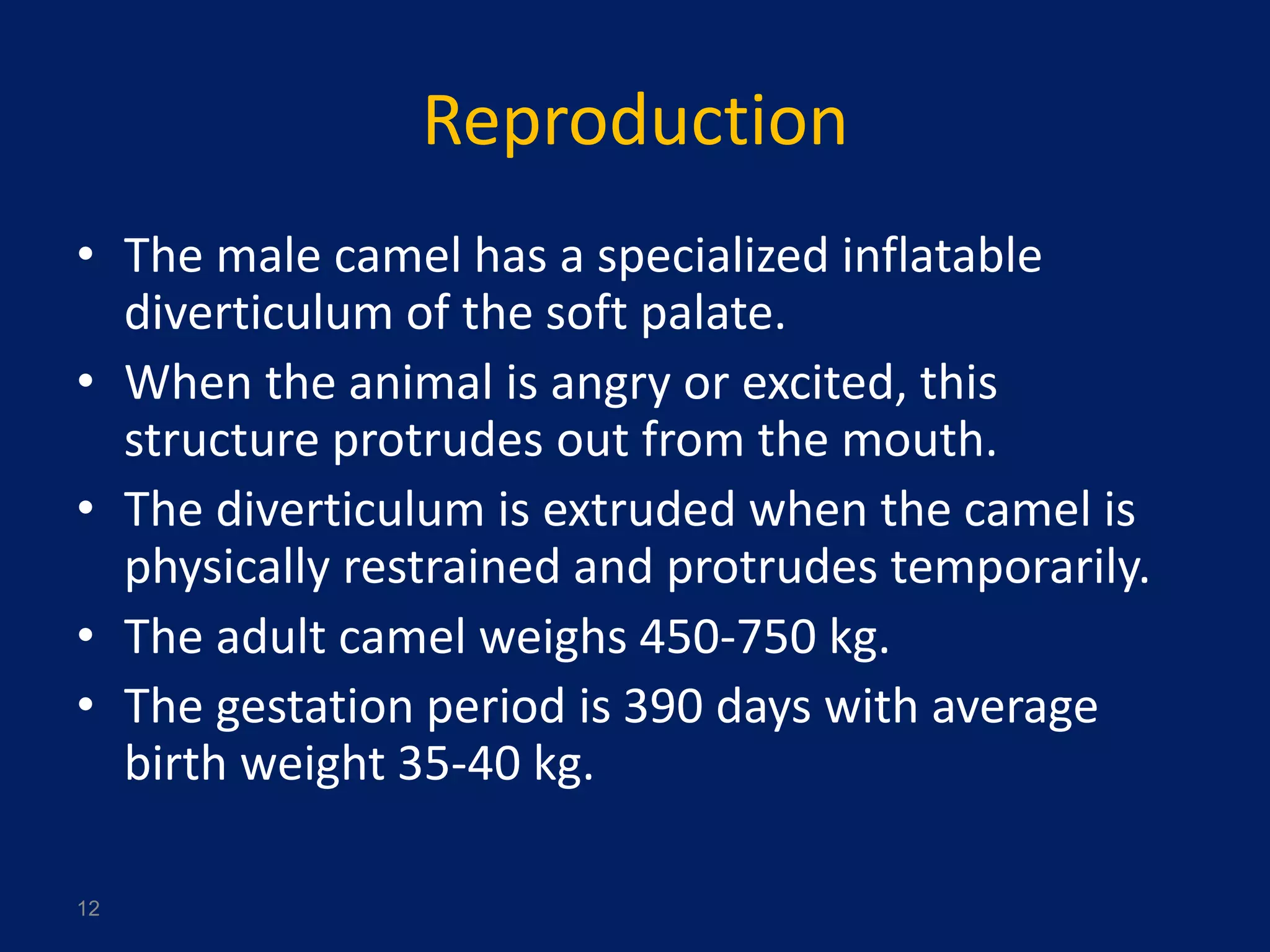 Reproduction in camel | PPTX