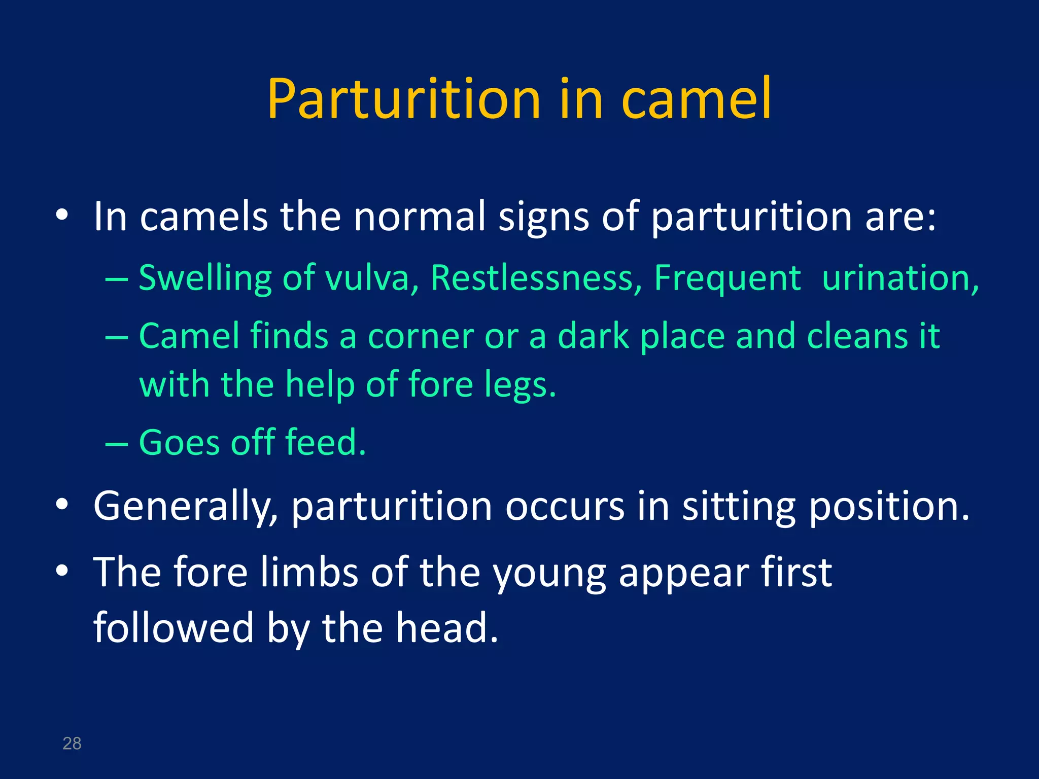 Reproduction in camel | PPTX