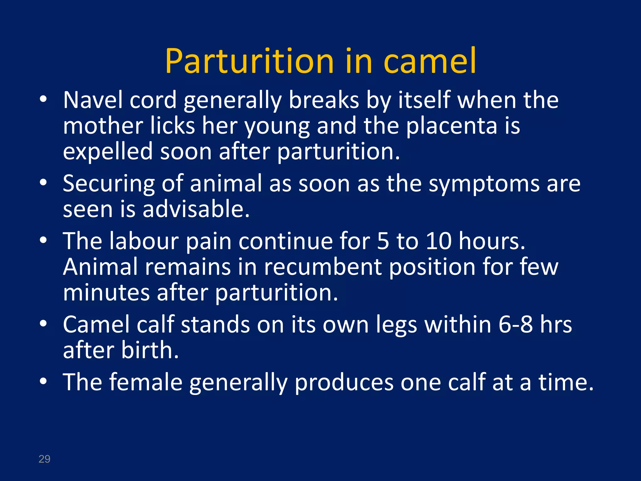 Reproduction in camel | PPTX