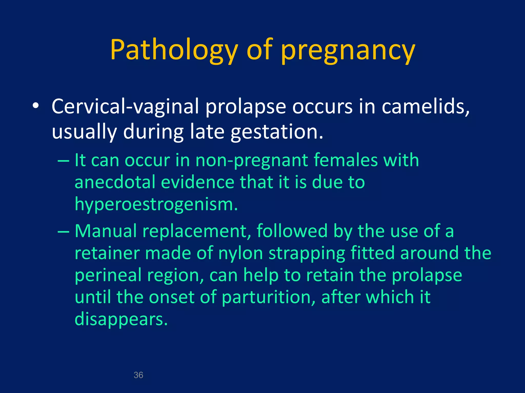 Reproduction in camel | PPTX