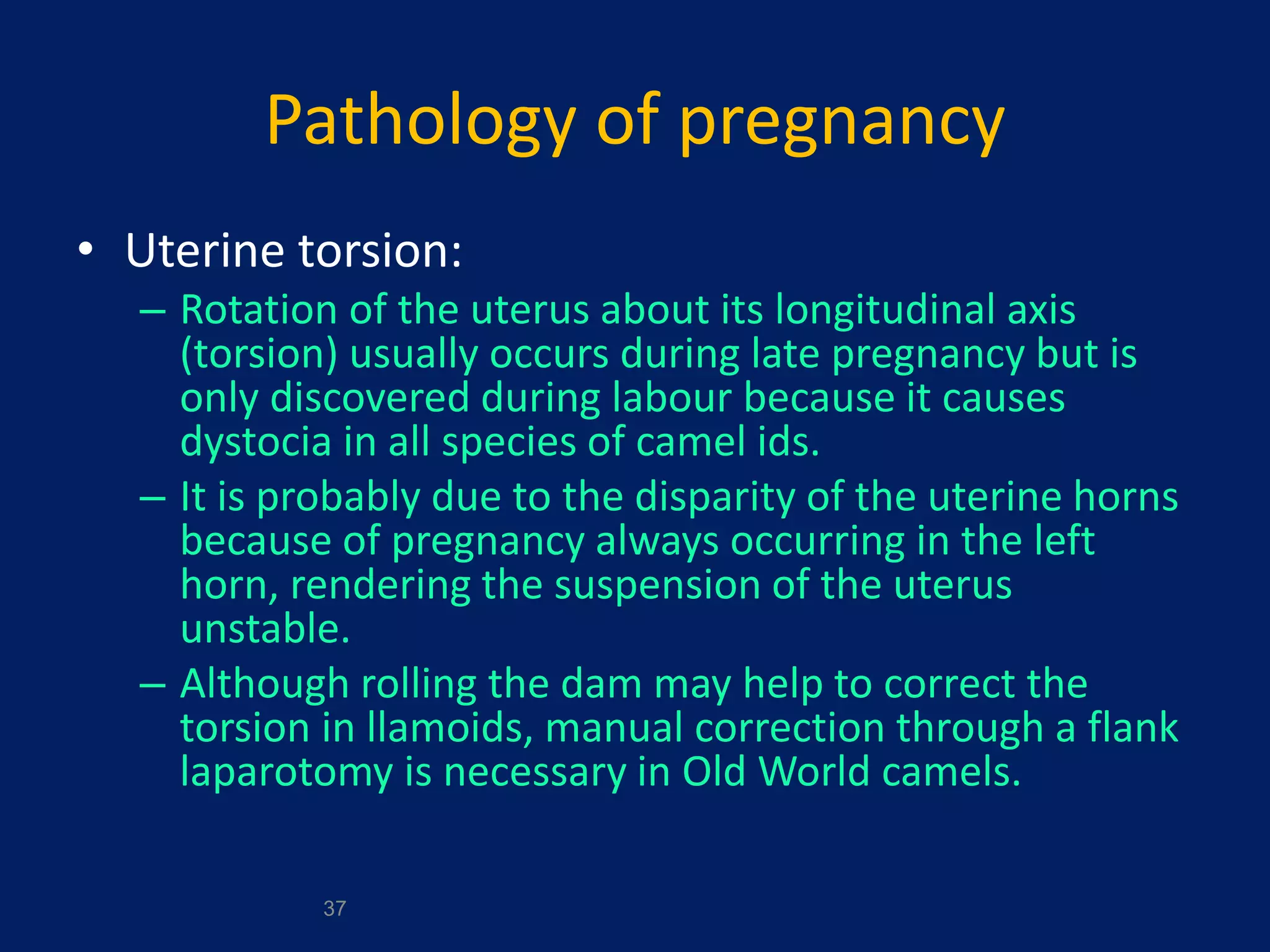 Reproduction in camel | PPTX