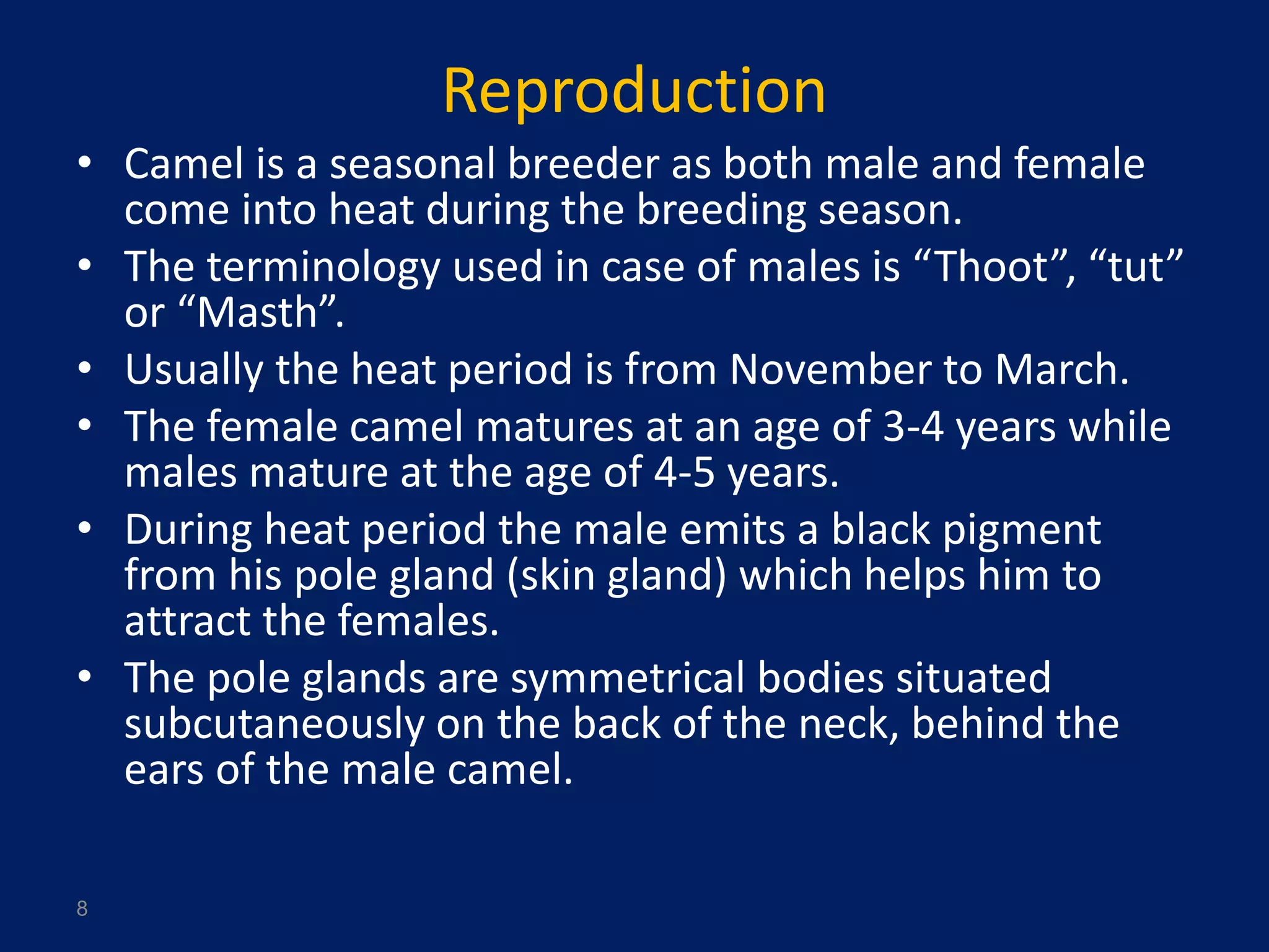 Reproduction in camel | PPTX
