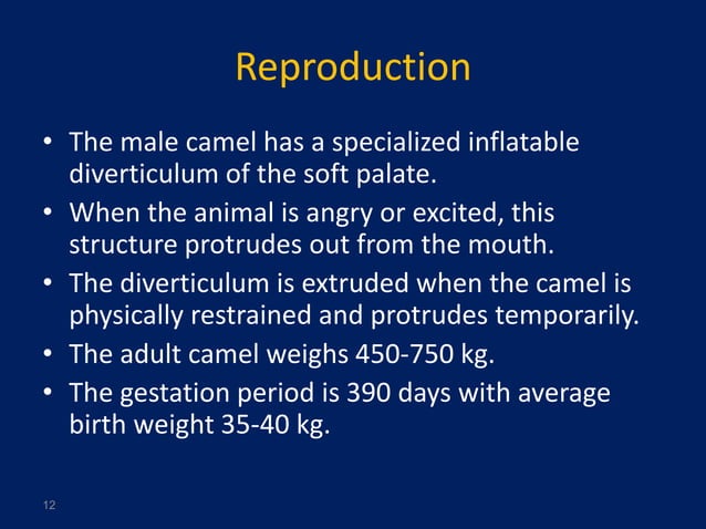 Reproduction in camel | PPTX