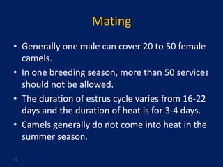 Reproduction in camel | PPTX