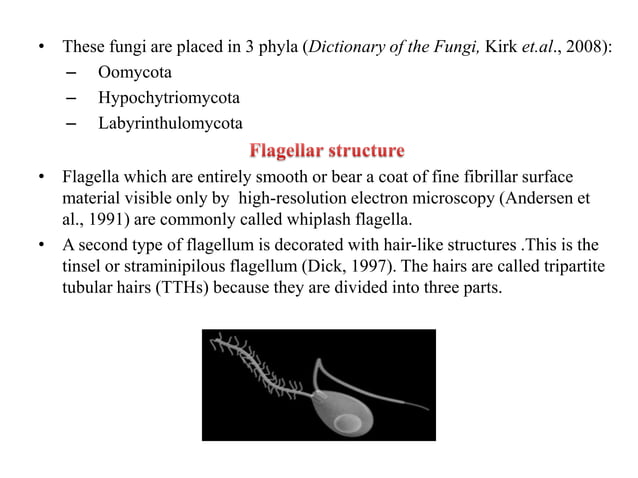 Reproduction in chromista | PPTX