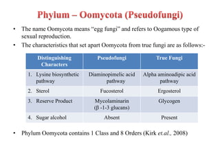Reproduction in chromista | PPT