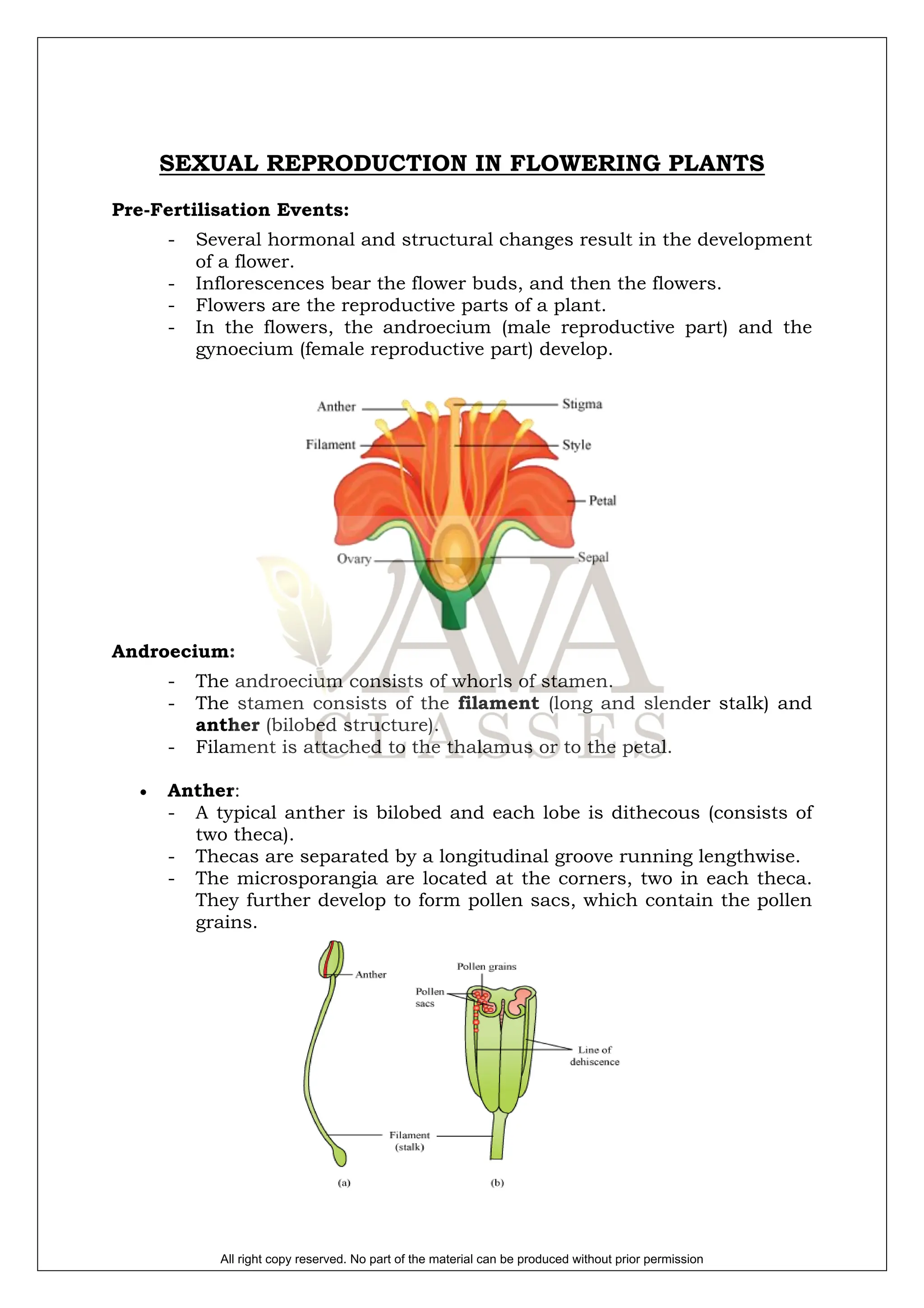 Repruduction: Sexual reproduction in flowering plants ncert Class 12 ...