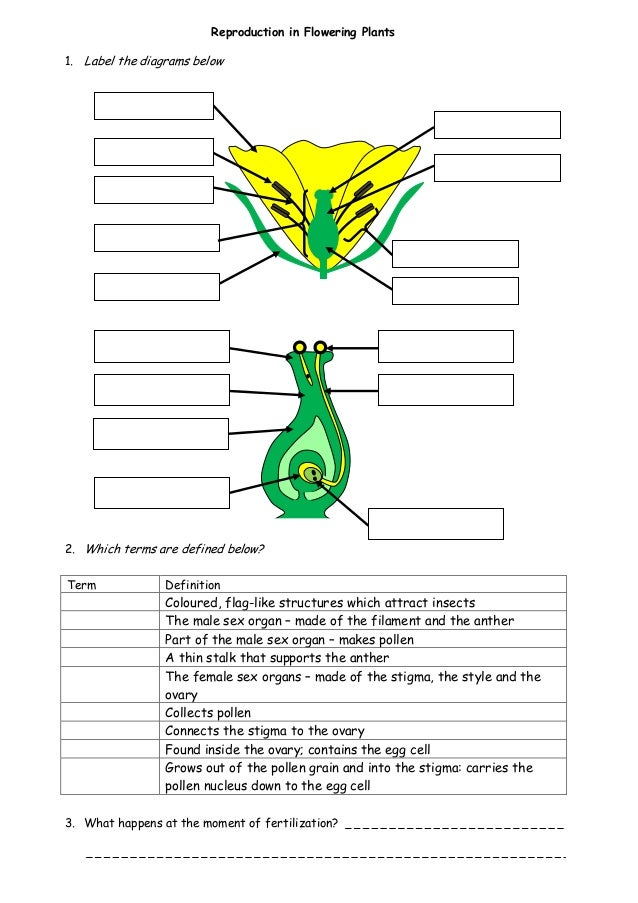 Reproduction In Flowering plants 1 Reproduction In Flowering plants 1