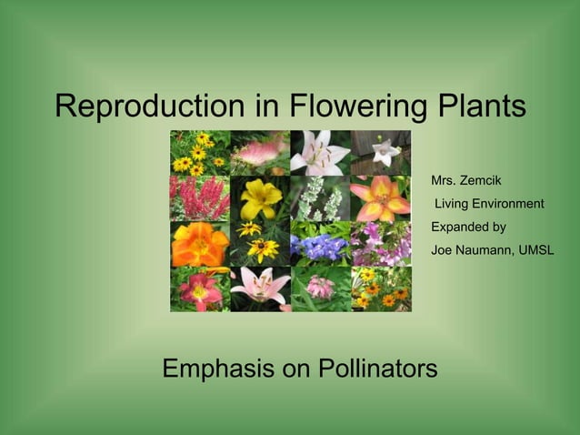 Reproduction in Flowering Plants (1).ppt | Infertility | Reproductive ...