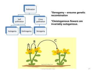 Reproduction in flowering plants chapter 2 | PPT