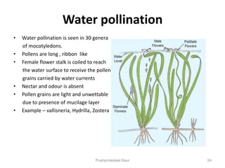 Reproduction in flowering plants chapter 2 | PPT