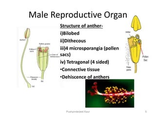 Reproduction in flowering plants chapter 2 | PPT