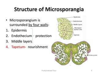 Reproduction in flowering plants chapter 2 | PPT
