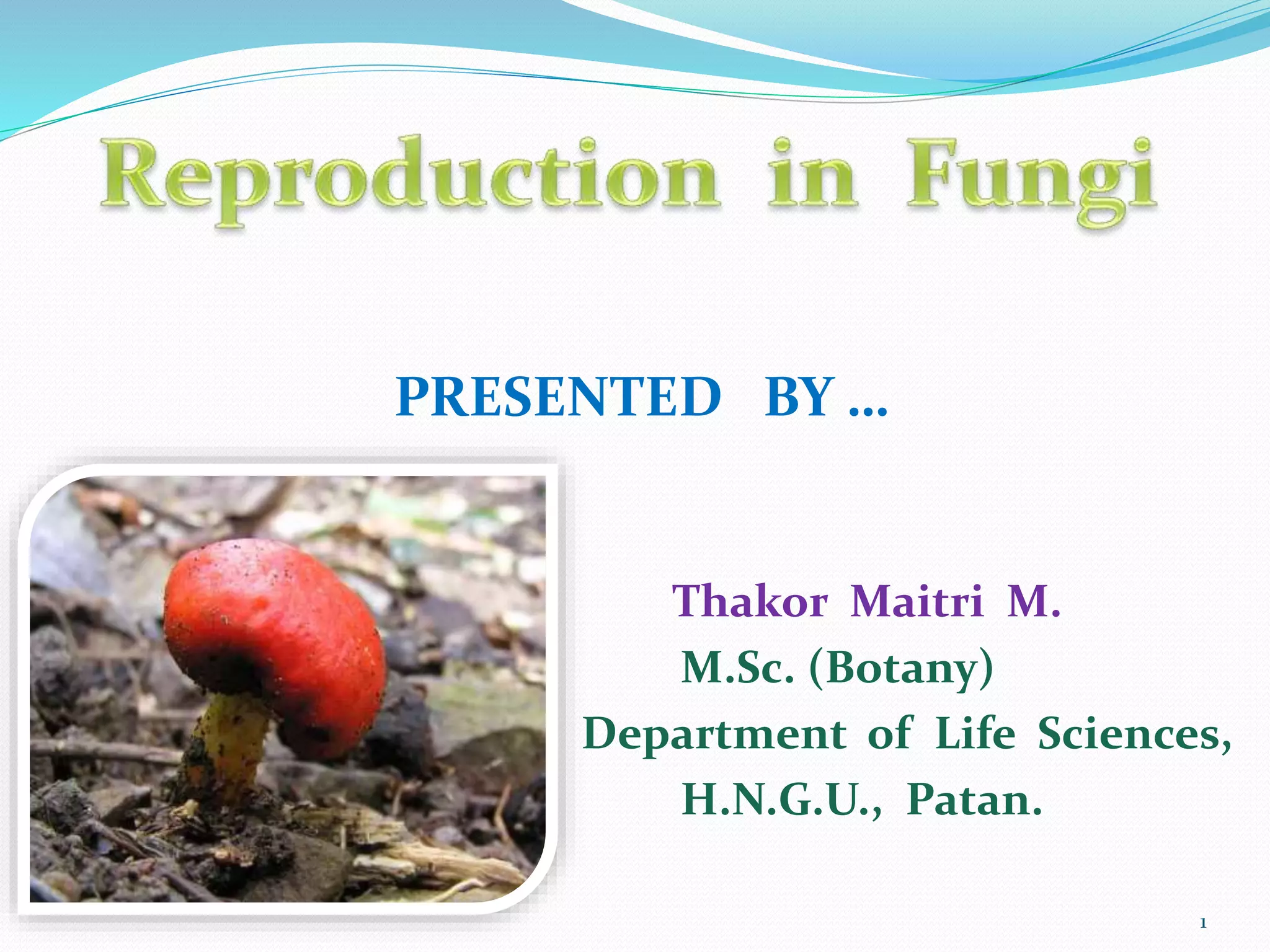 Reproduction in fungi | PPTX