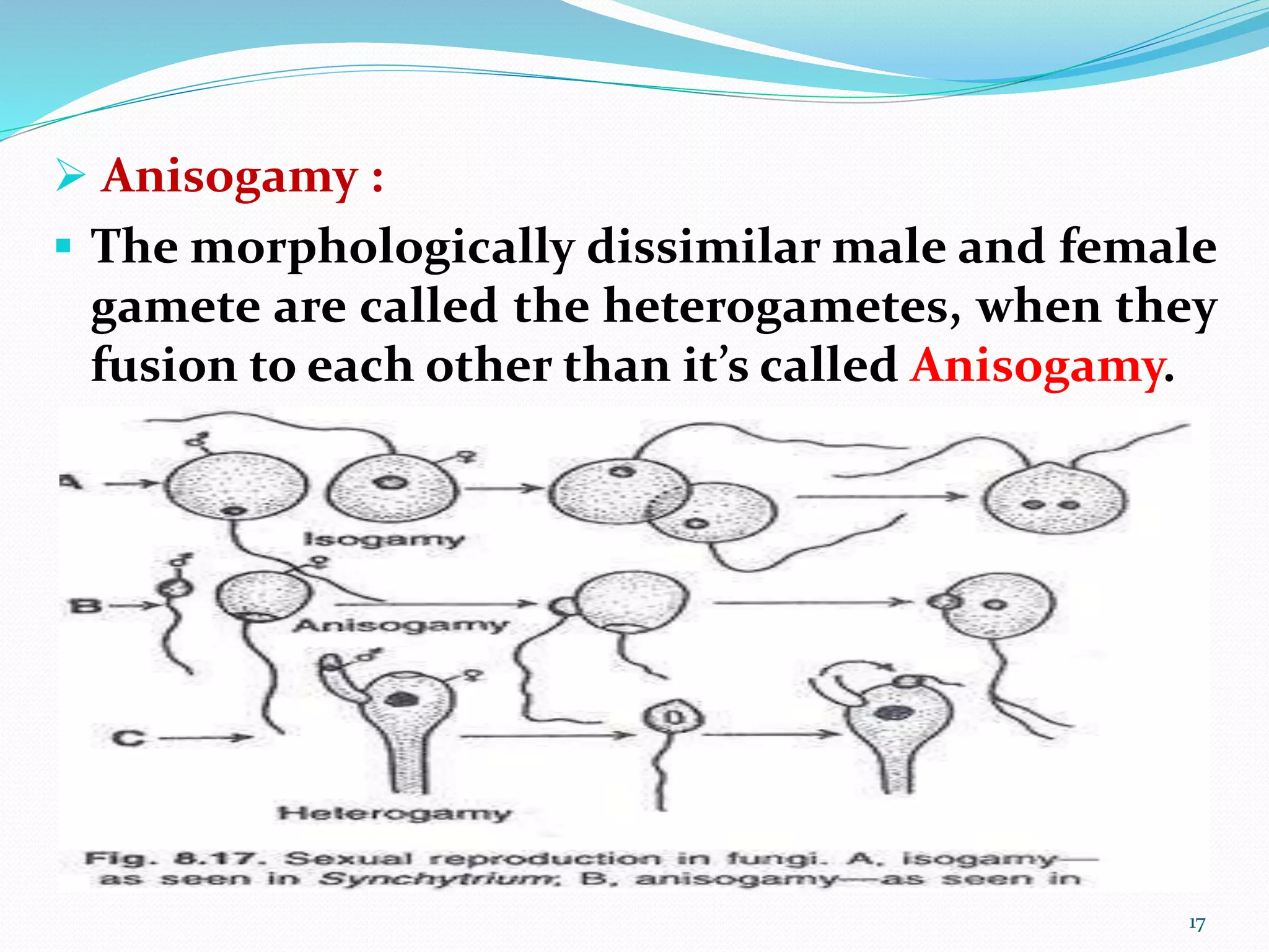 Reproduction in fungi | PPTX