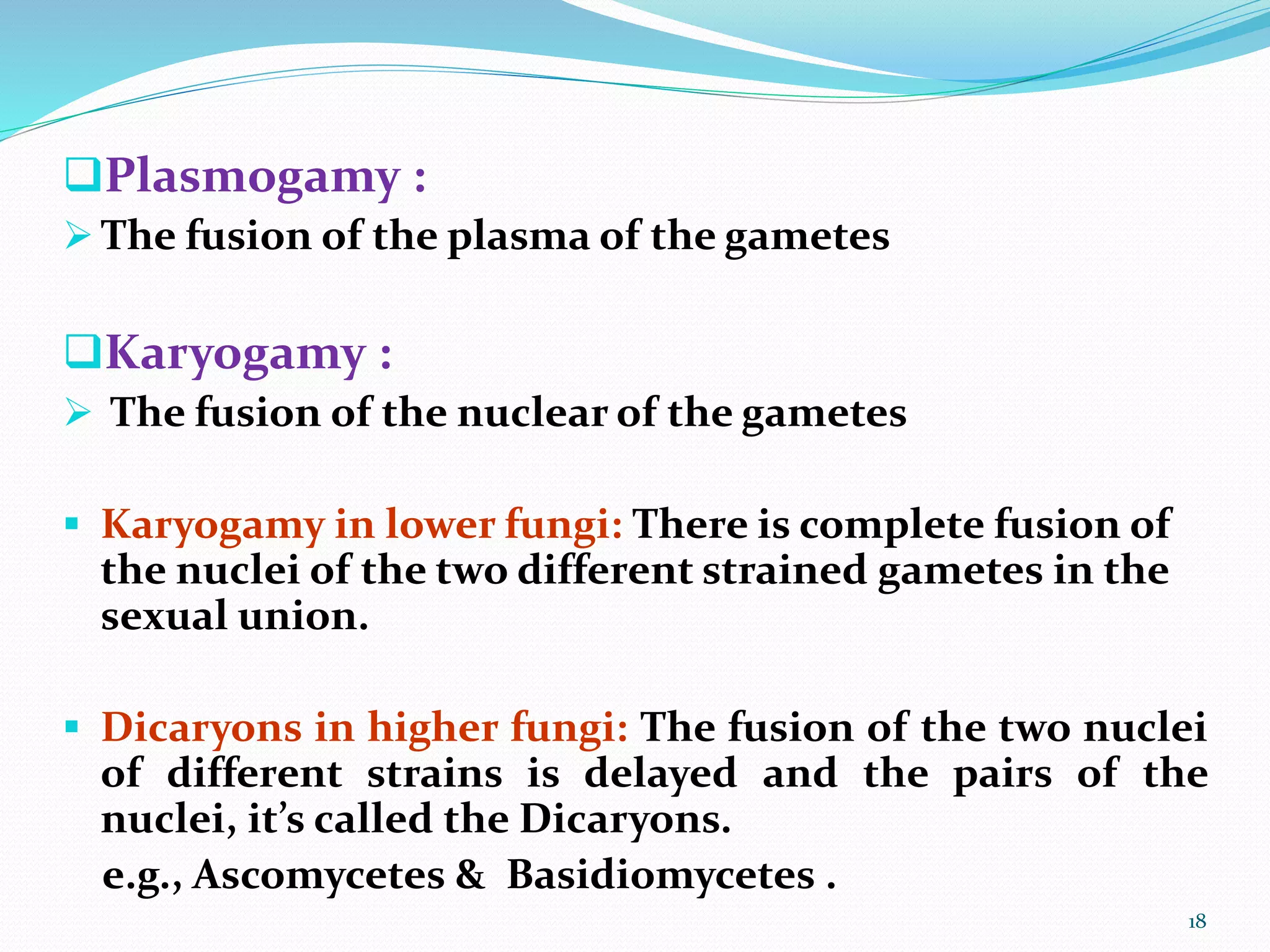 Reproduction in fungi | PPTX